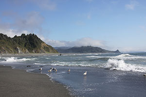 California MPAs: Visit Reading Rock State Marine Conservation Area and ...