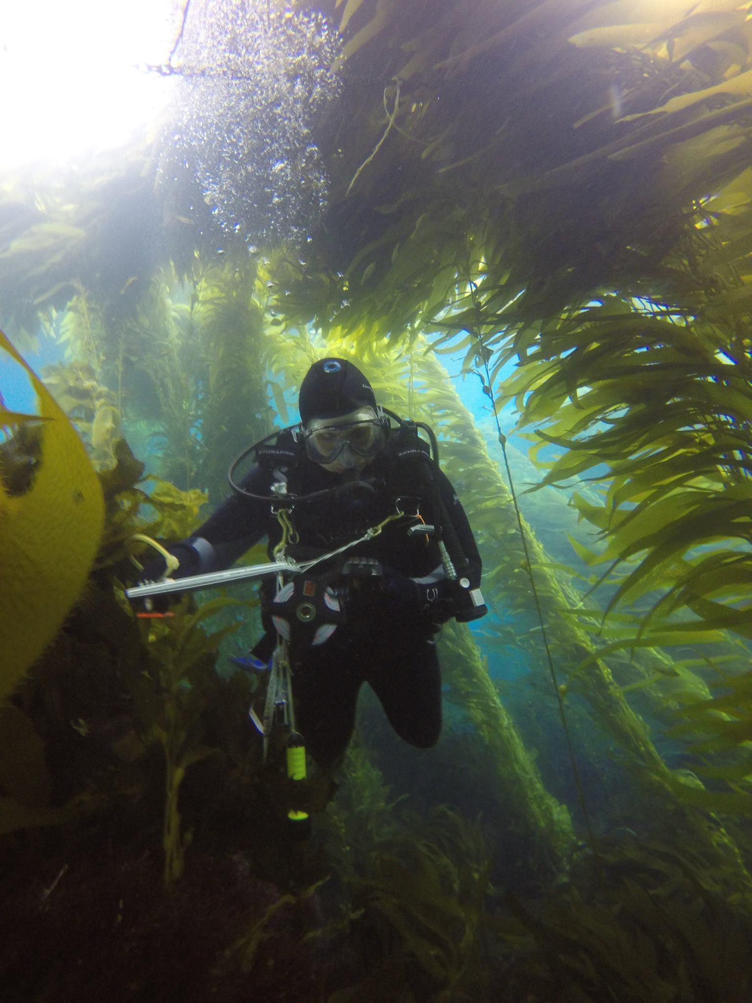 Programs – California MPAS