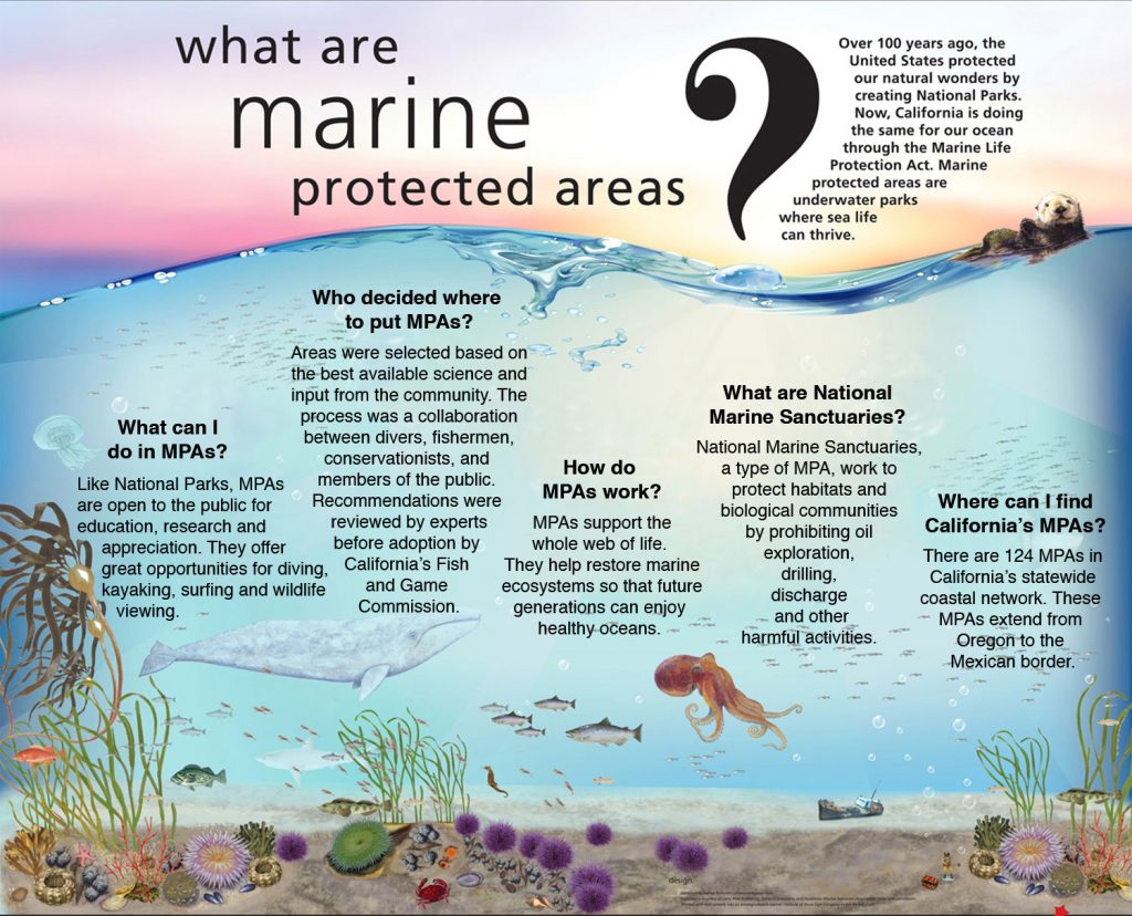 Posters California MPAS