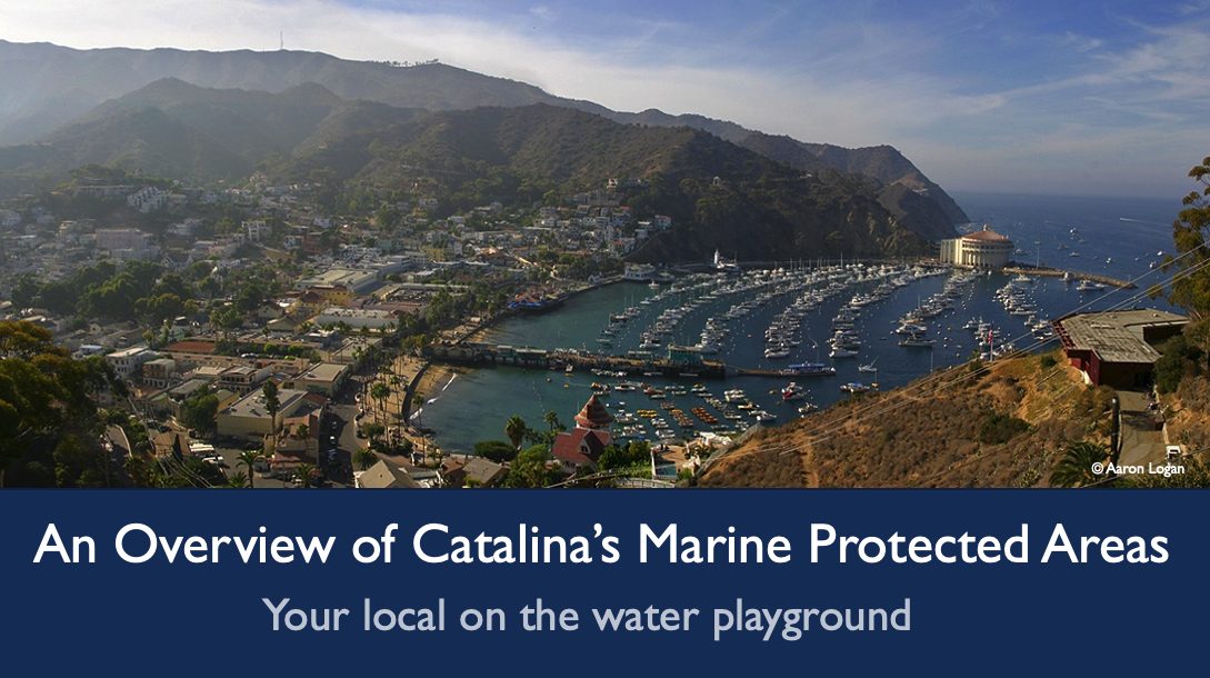 MPA PowerPoint Presentations – California MPAS