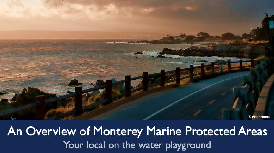 MPA PowerPoint Presentations – California MPAS